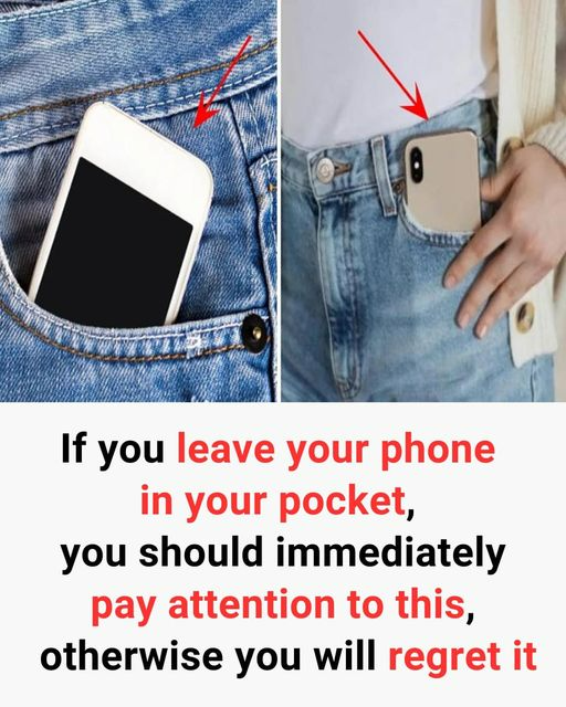 If you leave your phone in your pocket, you should immediately pay ...