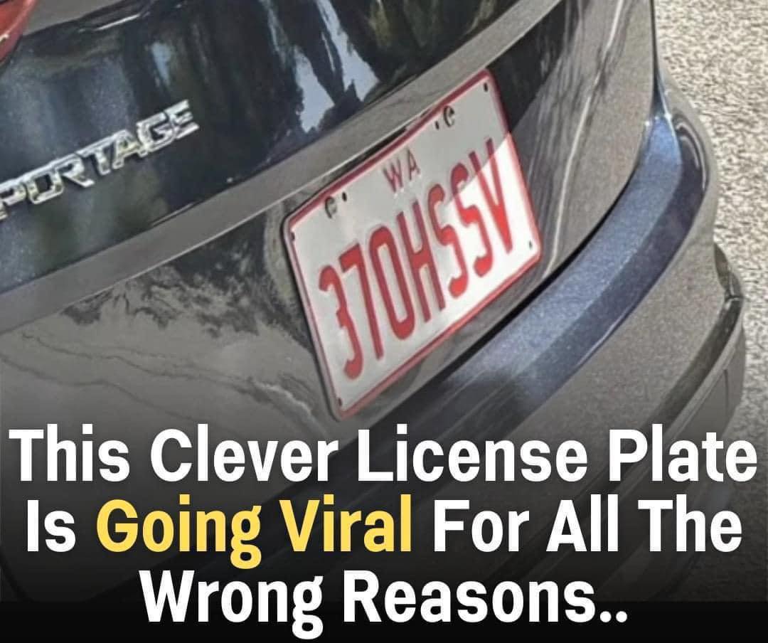 An intriguing aspect of this creative license plate is making waves for ...