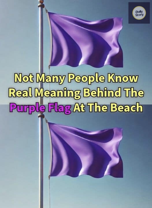 Understanding the meaning behind a purple flag at the beach ...