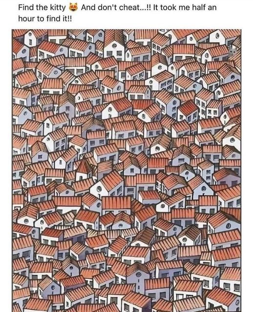 Optical Illusion Challenge: Can you identify the cat among the houses ...
