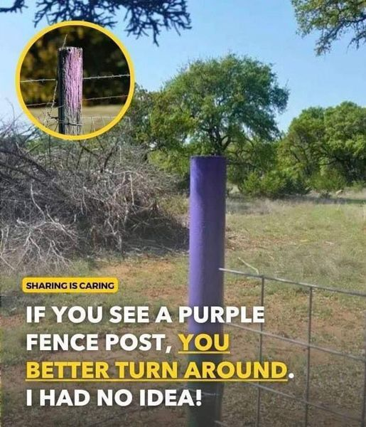 If You See a Painted Purple Fence, This Is What It Means - Weveryday ...