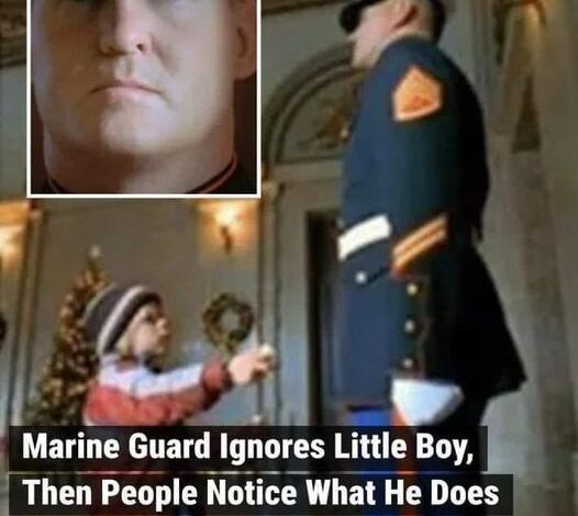 Little youngster is ignored by a Marine guard, and then people see what ...