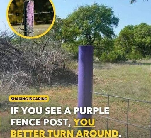 If You See a Painted Purple Fence, This Is What It Means - Weveryday ...