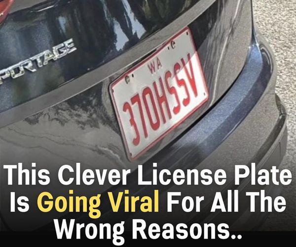 This Clever License Plate Is Making Waves for Surprising Reasons ...
