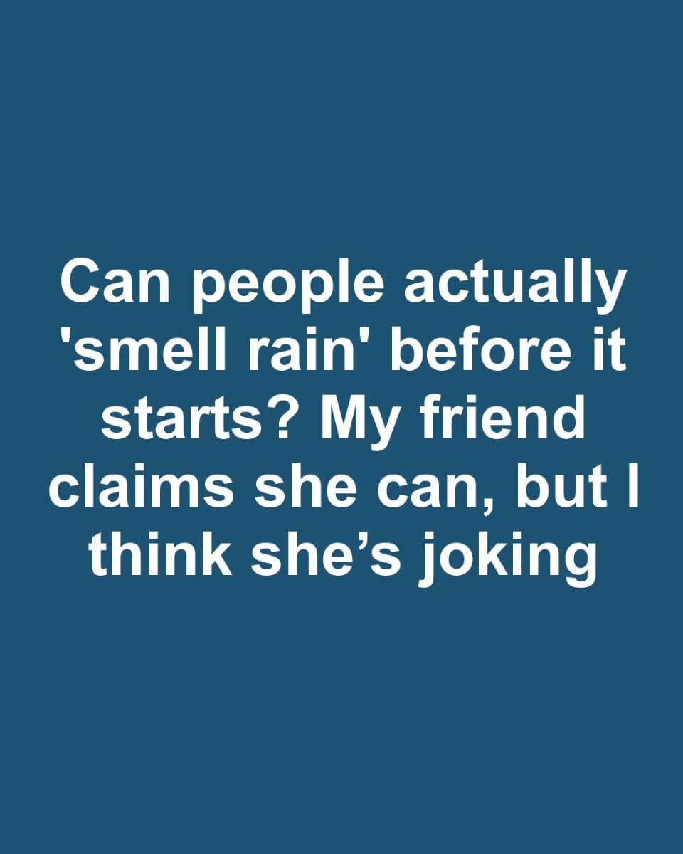 Understanding the Science Behind Rain Scent - Weveryday Stories