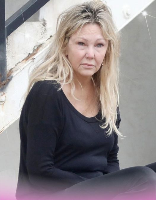 Heather Locklear: Journeying Through Life's Peaks and Valleys ...