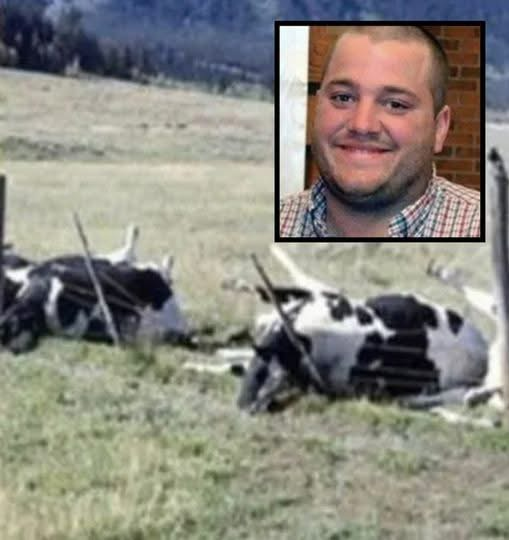 Cause of Death Uncovered in Case of Farmer and 16 Dead Cows - Weveryday ...