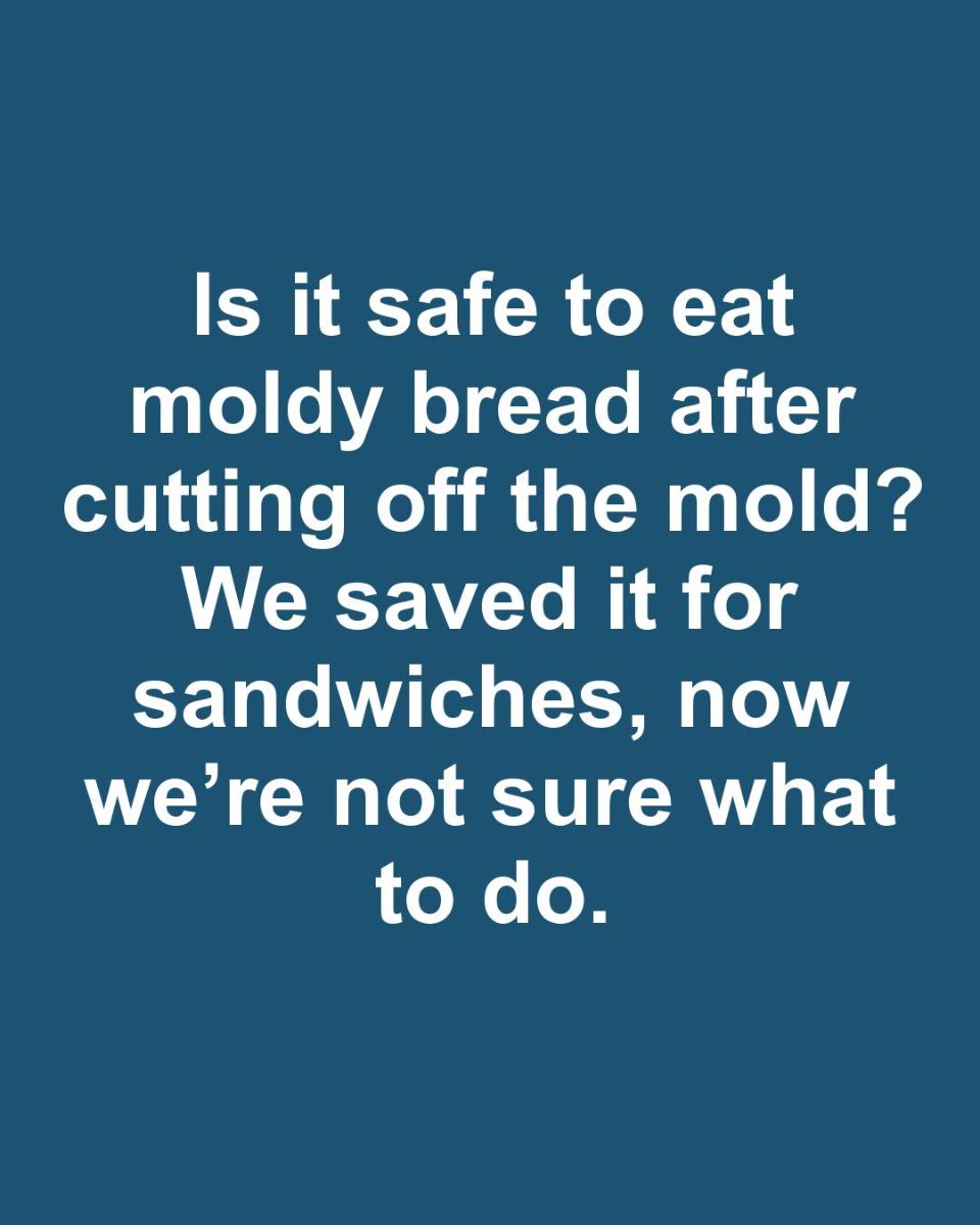 Understanding Mold: What It Is and How It Grows - Weveryday Stories