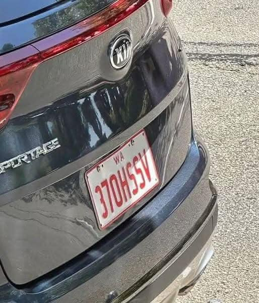 This Clever License Plate Sparks Viral Sensation - Weveryday Stories