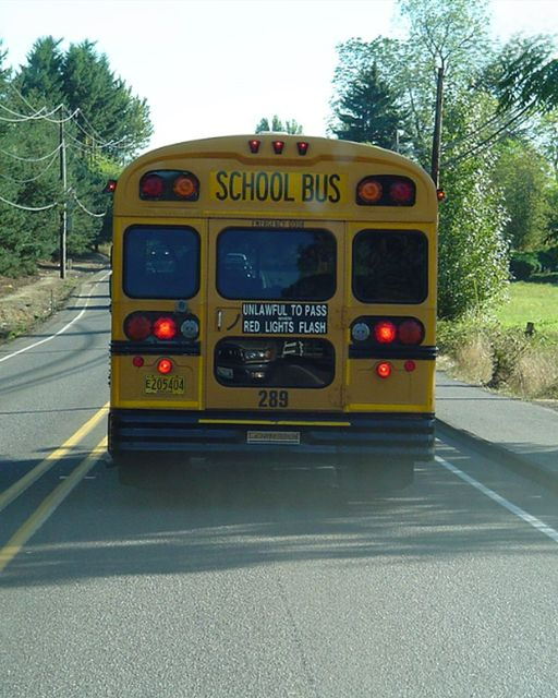 I Saw a Child on the School Bus Hitting the Back Window and Yelling for ...