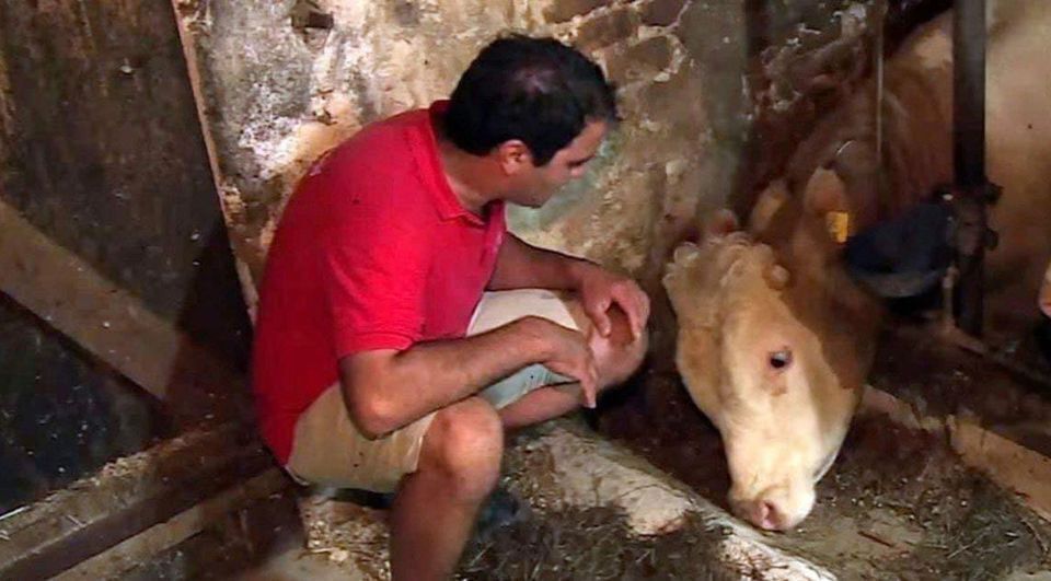 Bull’s been imprisoned his whole life – the moment he’s set free is ...