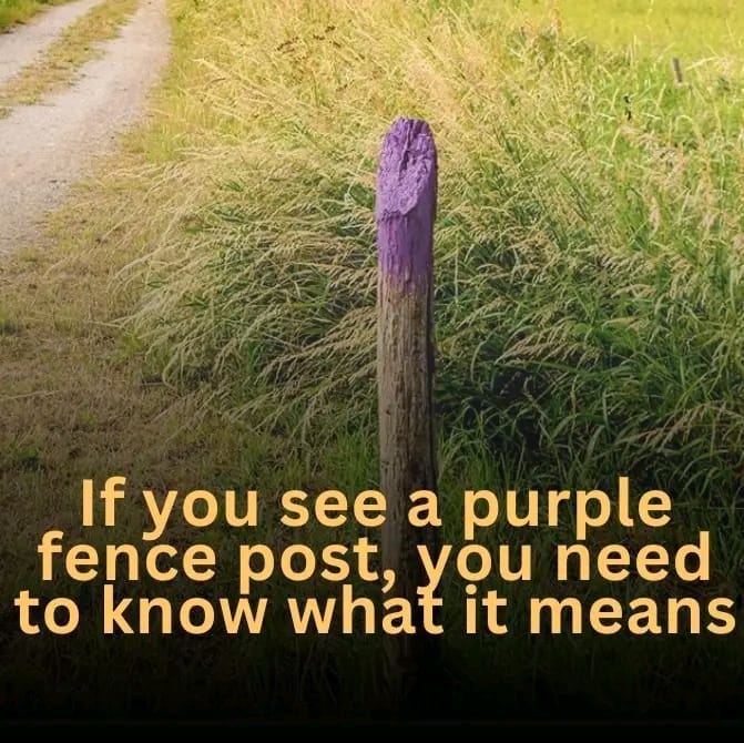 If you see a purple fence post, here’s what it could mean - Weveryday ...
