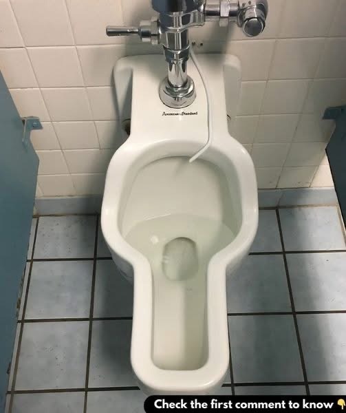 Unique Toilet Design at Huntsville Space Center: Exploring the Reason ...