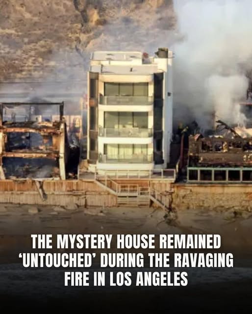 During The Wildfires In Los Angeles, The Business Magnate Explains How The “Miracle” House ...