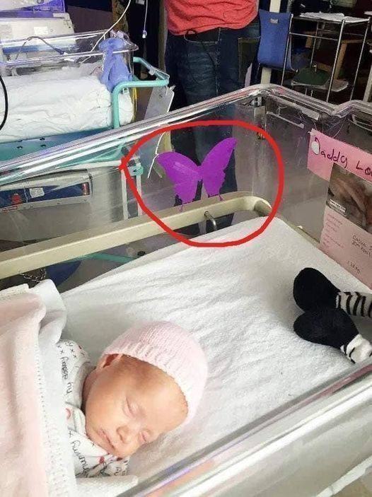 What Does a Purple Butterfly Sticker Mean? - Weveryday Stories