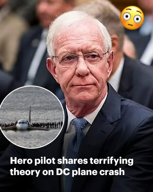 A Renowned Pilot Speaks Out on Deadly Collision - Weveryday Stories