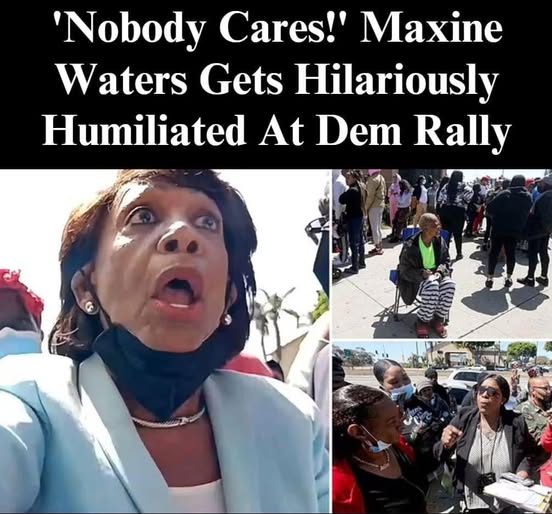 Maxine Waters Melts Down During Tirade Against Trump, Musk - Weveryday ...