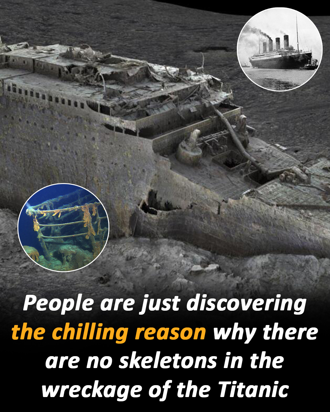 The strange disappearance of bodies from the Titanic wreck site ...