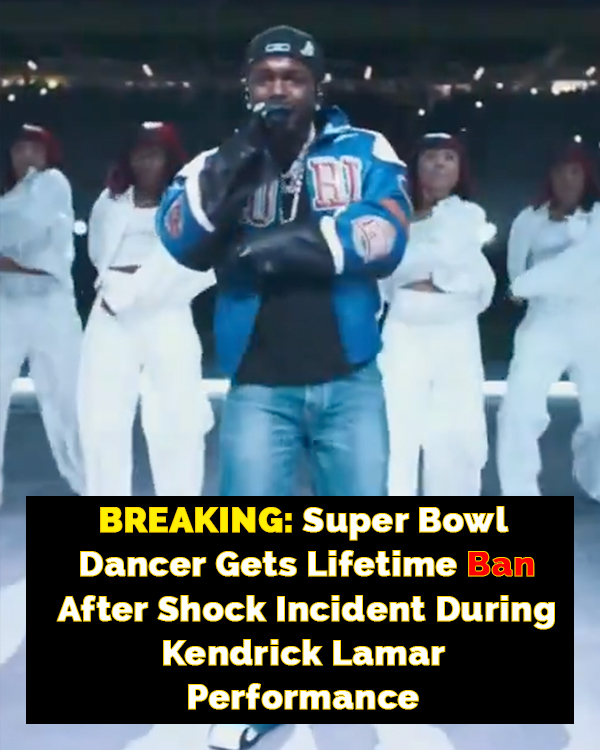 Dancer gets lifetime ban after incident in Super Bowl halftime show ...