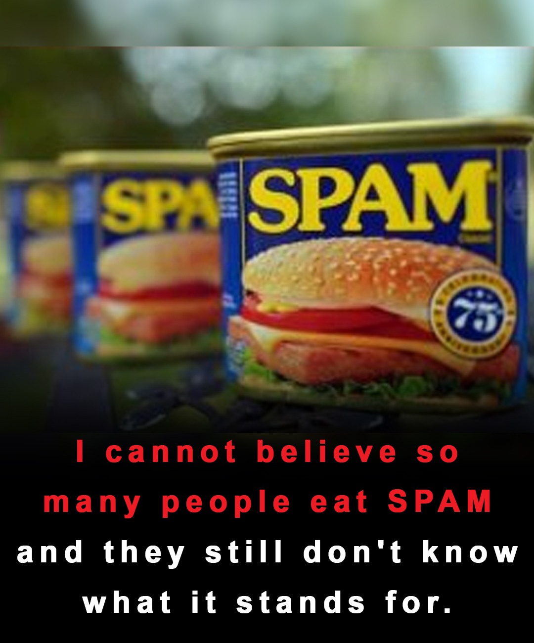 What does the term SPAM represent, and what ingredients make it up ...