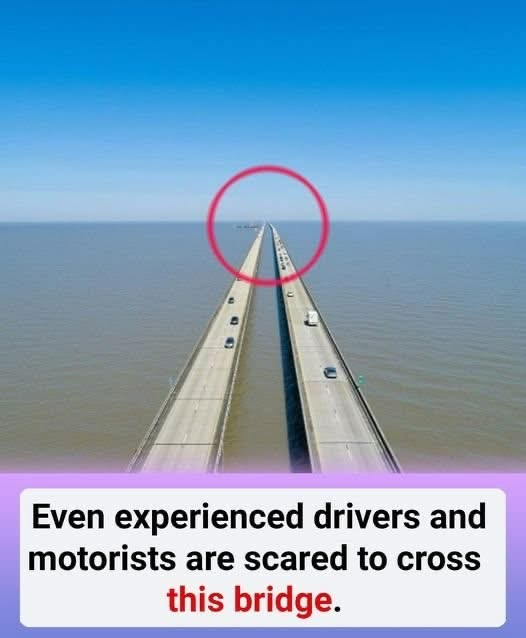 Even experienced drivers and motorists are scared to cross this bridge ...