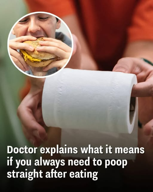 Doctor explains what it means if you always need to poop straight after ...