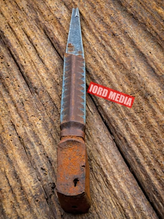 The Tool That Every Grandpa Used – Here’s Why It’s Still A Game-Changer ...