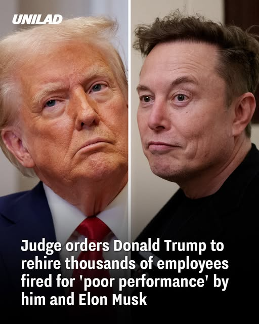 Judge orders Donald Trump to rehire thousands of employees fired for ...