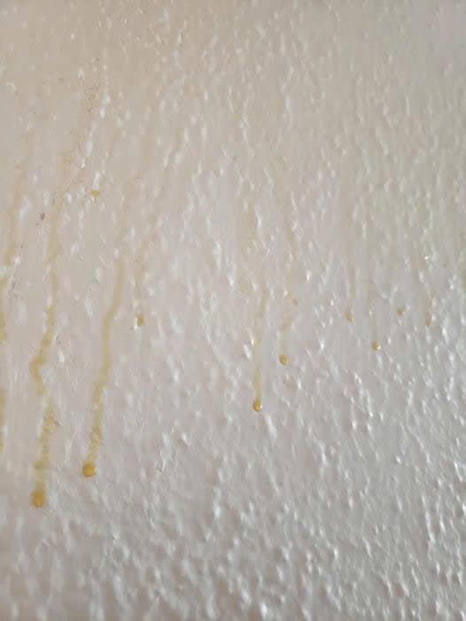 Yellow Residue Dripping Down Your Bathroom Walls? Here’s What Could Be ...