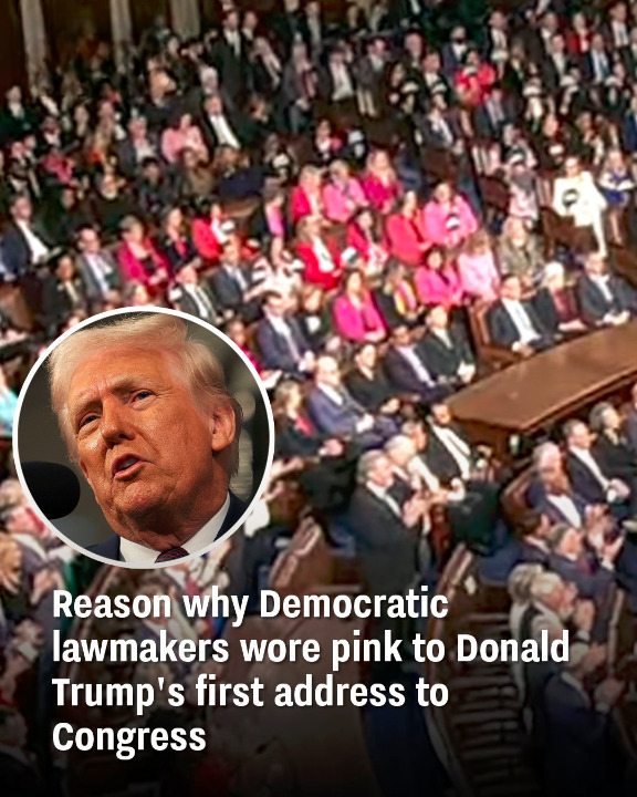 Why Democratic Lawmakers Wore Pink to Donald Trump’s First ...