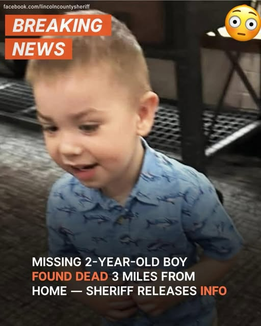Missing 2-year-old Dane Paulsen found dead - Weveryday Stories