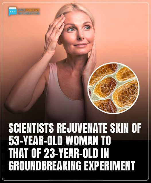In A Groundbreaking Experiment, Scientists Rejuvenate A 53-Year-Old ...
