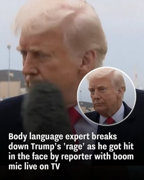 Body language expert breaks down Trump's 'rage' as he got hit in the ...