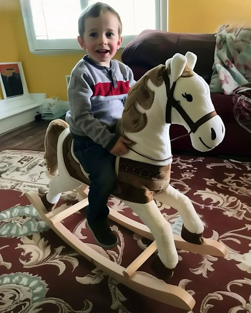 My Ex-husband Gifted Our Kid a Rocking Horse – When I Saw What Was ...