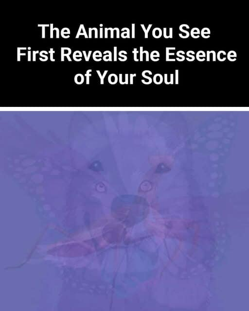 Your First Animal Choice Reveals Hidden Truths About You - Weveryday ...