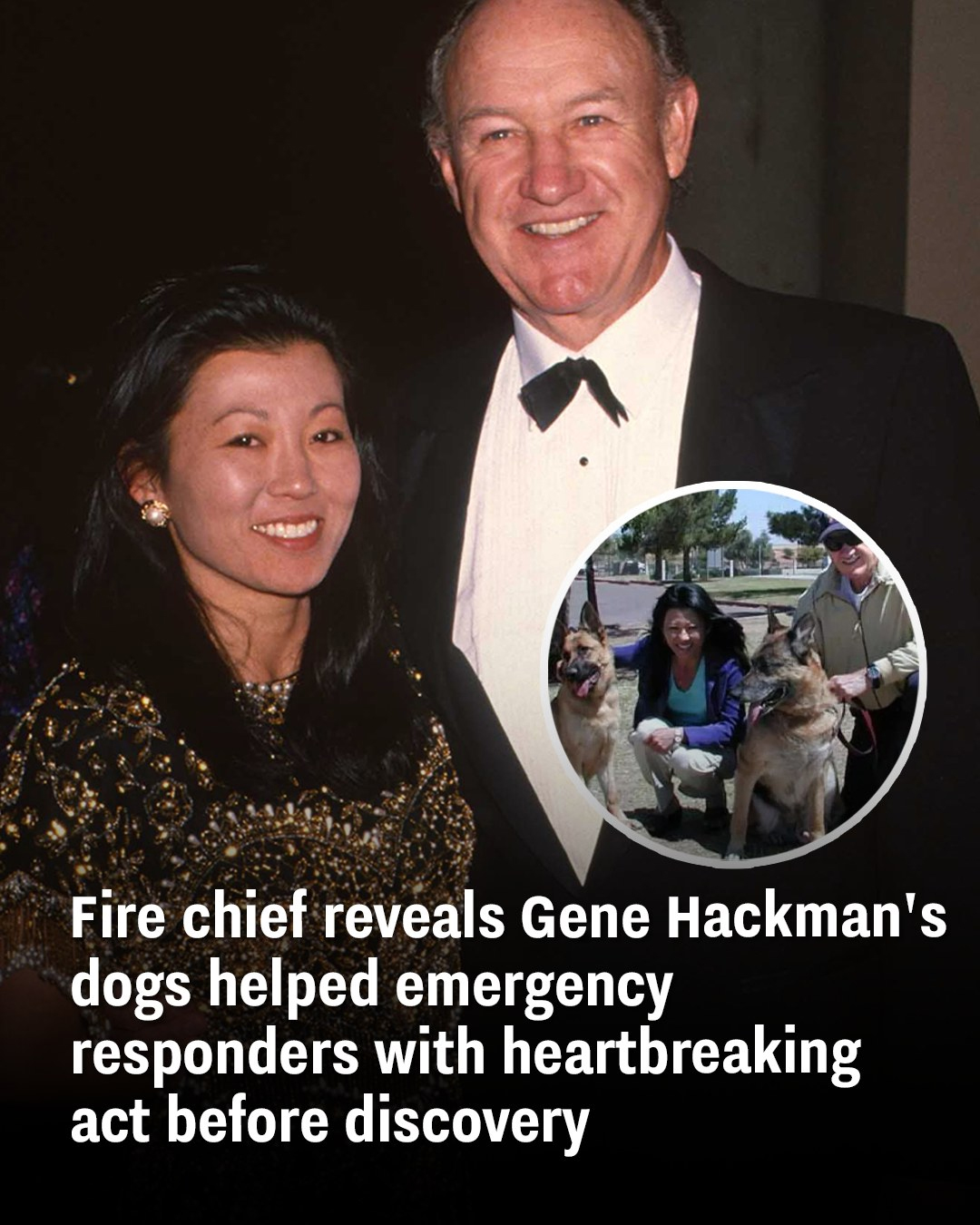 Fire chief reveals Gene Hackman’s dogs helped emergency responders with ...