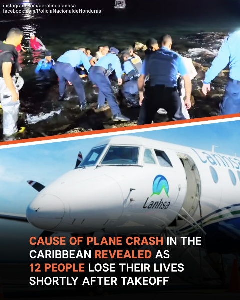 12 fatalities reported in a Caribbean plane crash, with a famous singer ...