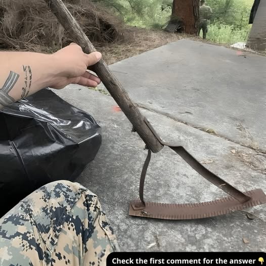 Rediscovering the Marvel of Simplicity - Weveryday Stories