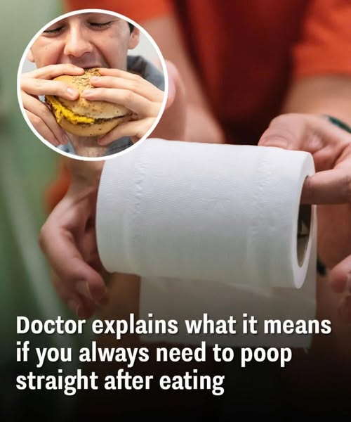 Doctor explains what it means if you always need to poop straight after ...