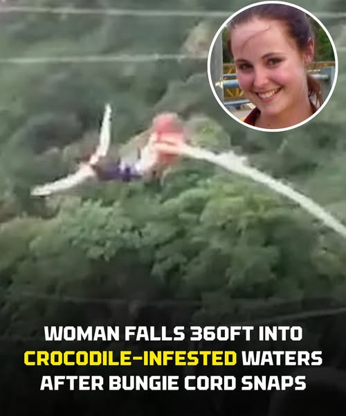 Woman F.alls 360ft Into Crocodile-Infested Waters After Bungie Cord ...