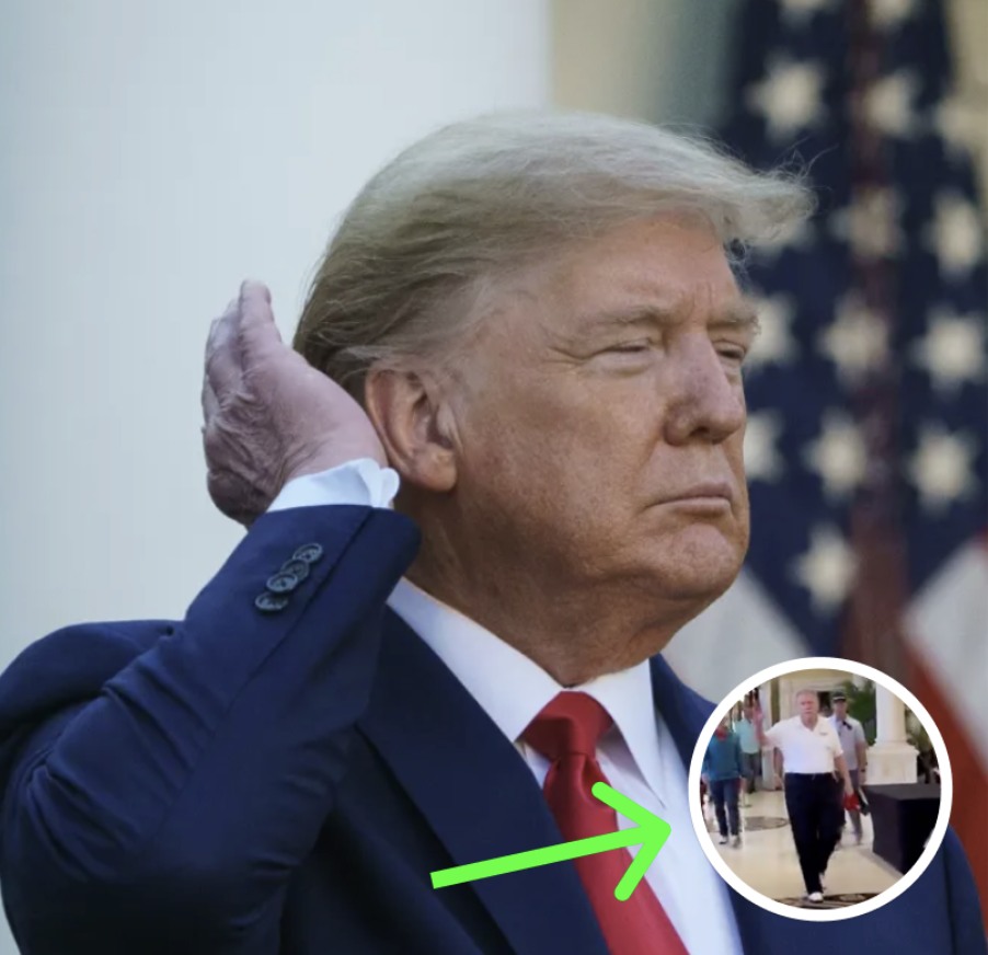 Video Of Donald Trump's 'New Hairstyle' Turns Heads - Weveryday Stories