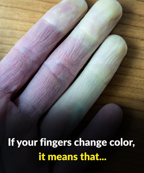 Why do fingers change color? - Weveryday Stories
