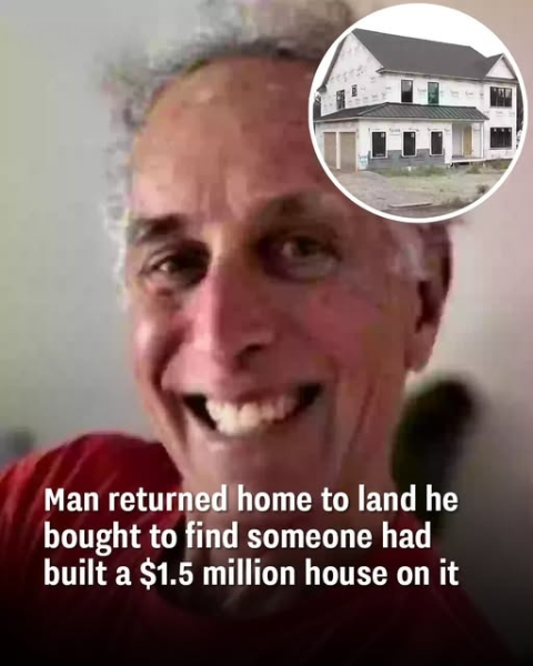 Man returned home to land he bought to find someone had built a $1.5 ...