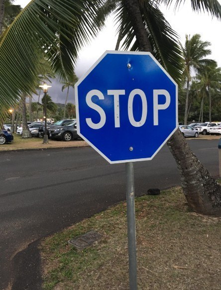 What a Blue Stop Sign Really Means and... - Weveryday Stories