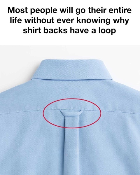 The Unsolved Secret of the Shirt's Back Loop - Weveryday Stories