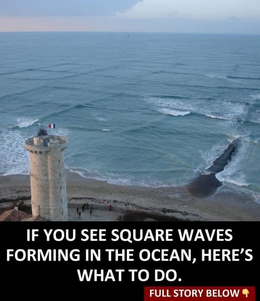 The Unseen Risks of Square Waves in the Ocean - Weveryday Stories