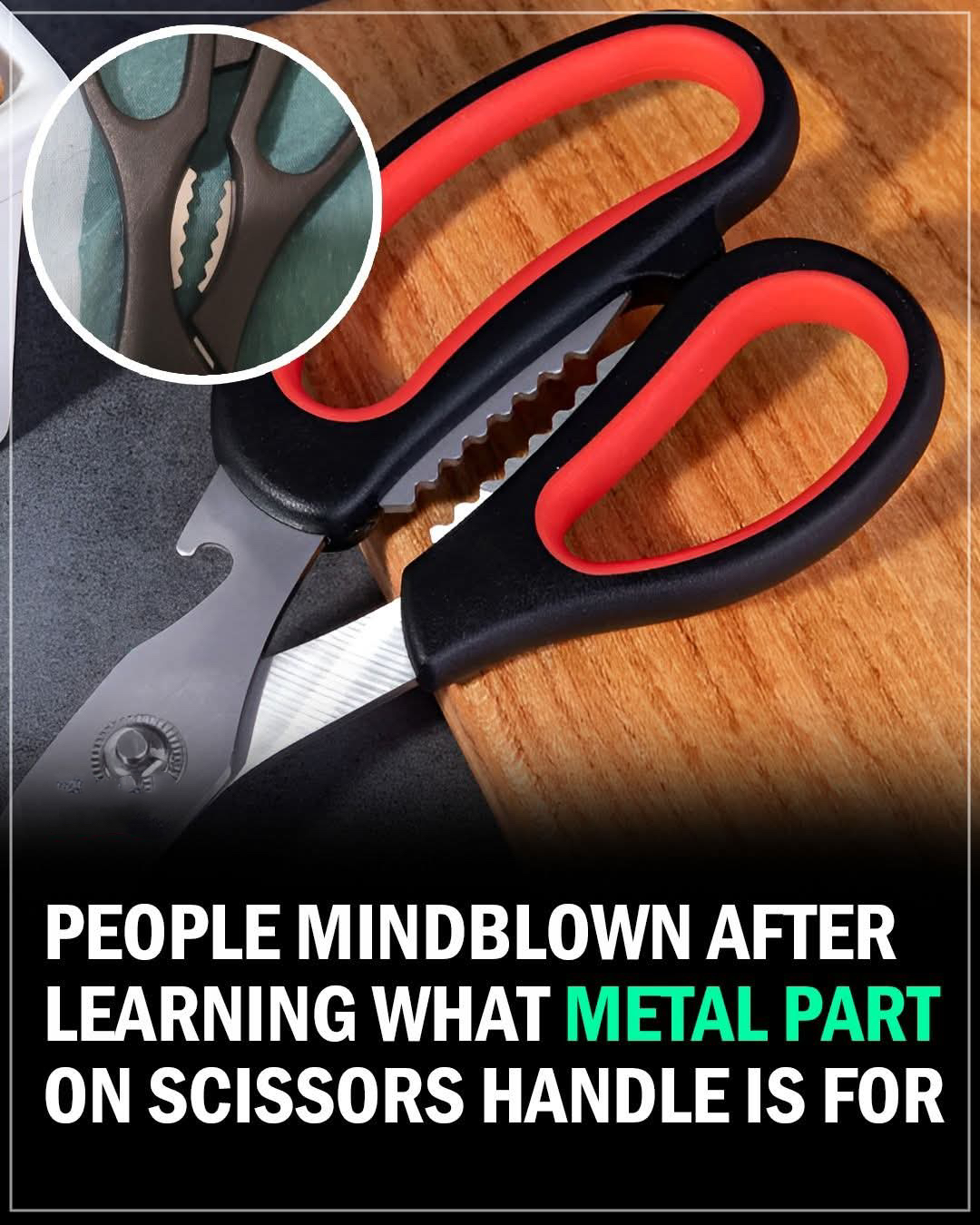 Surprising purpose of the metal teeth between scissors - Weveryday Stories
