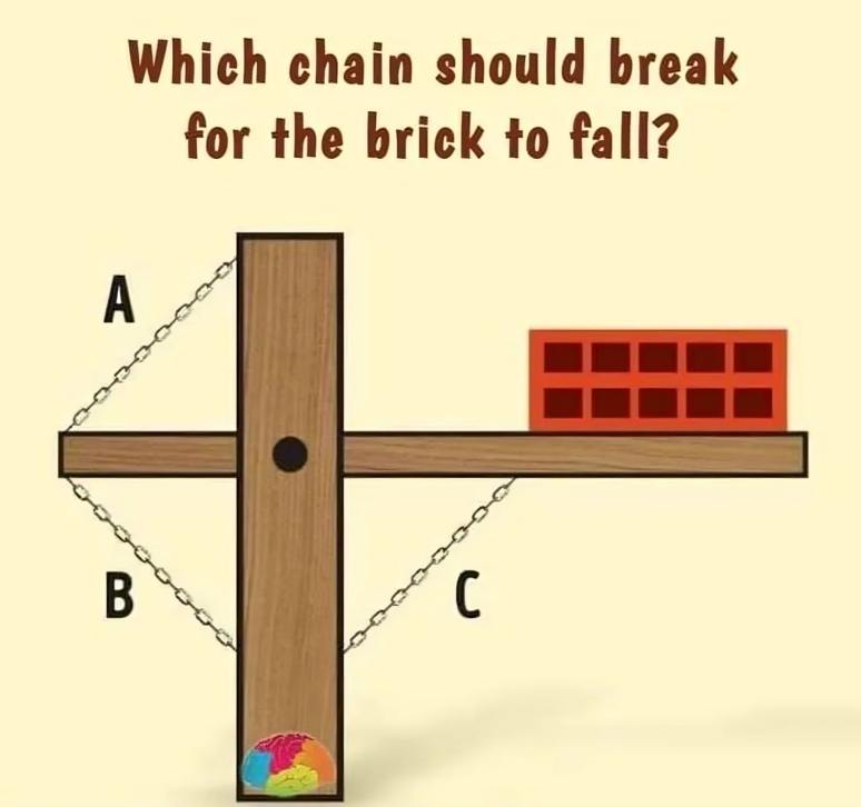 The One Chain That Decides It All: Can You Guess Which Breaks to Make ...