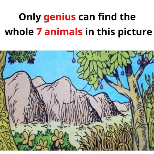 Find All 7 Animals Hidden In This Picture - Weveryday Stories