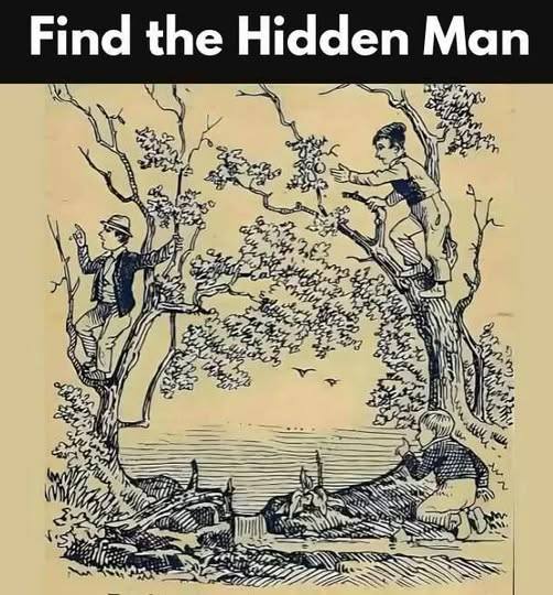Optical Illusion: You Have a High IQ and Sharp Eyes if You Can Find the ...